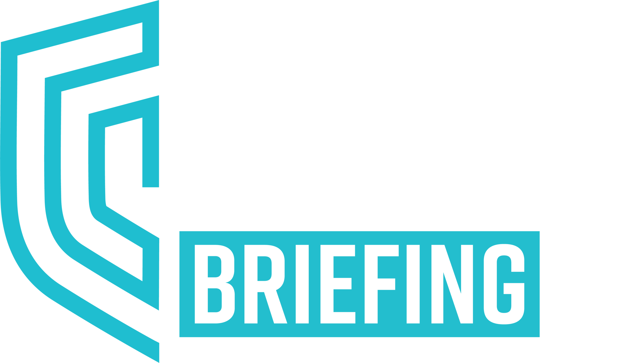 The Security Briefing